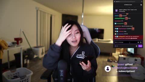 CodeMiko - Streamer Profile & Stats